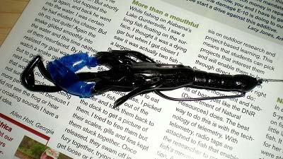 Bass Assassin Crawdad Assassin 4” - BassGrab